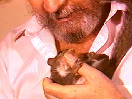 Bob Ross' Animal Friends