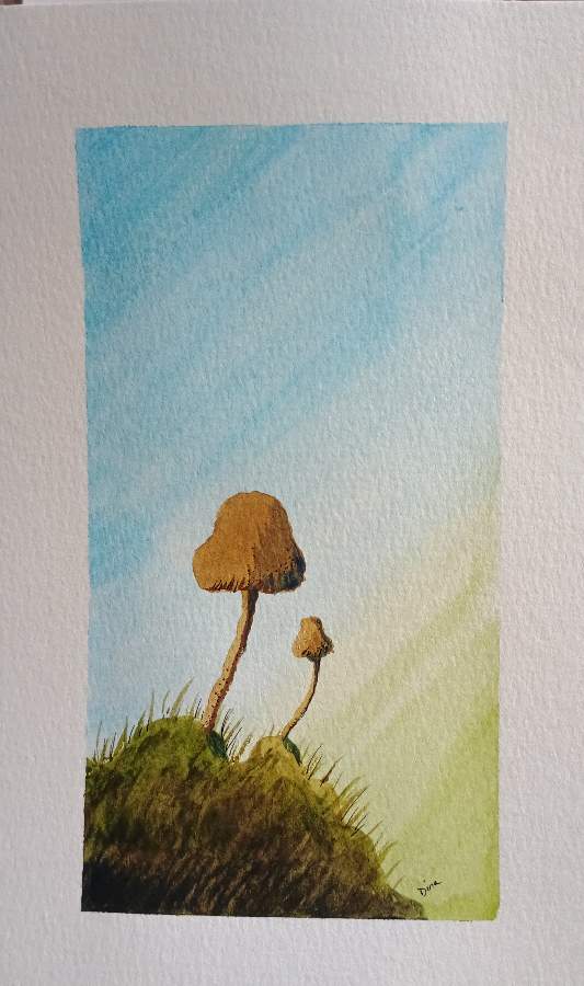 Line and wash Mushrooms by Nil Rocha