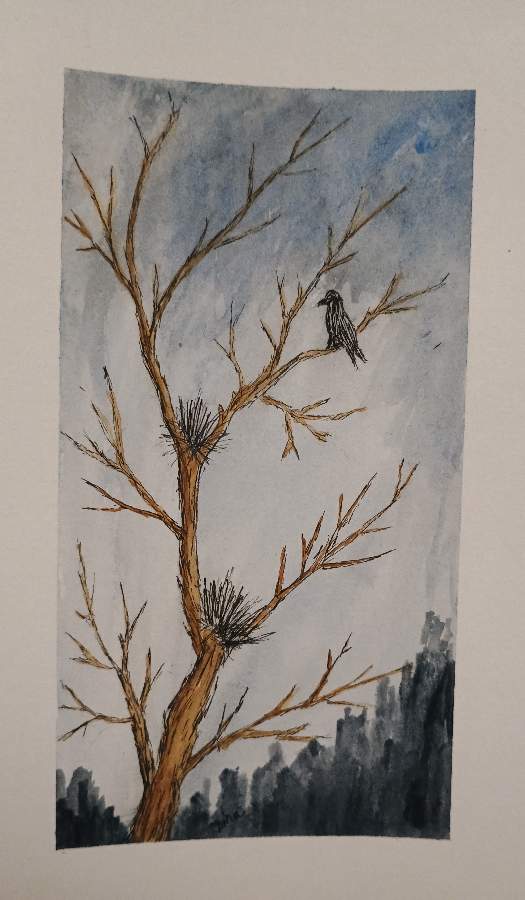 Watercolor Nests line and wash by Nil Rocha