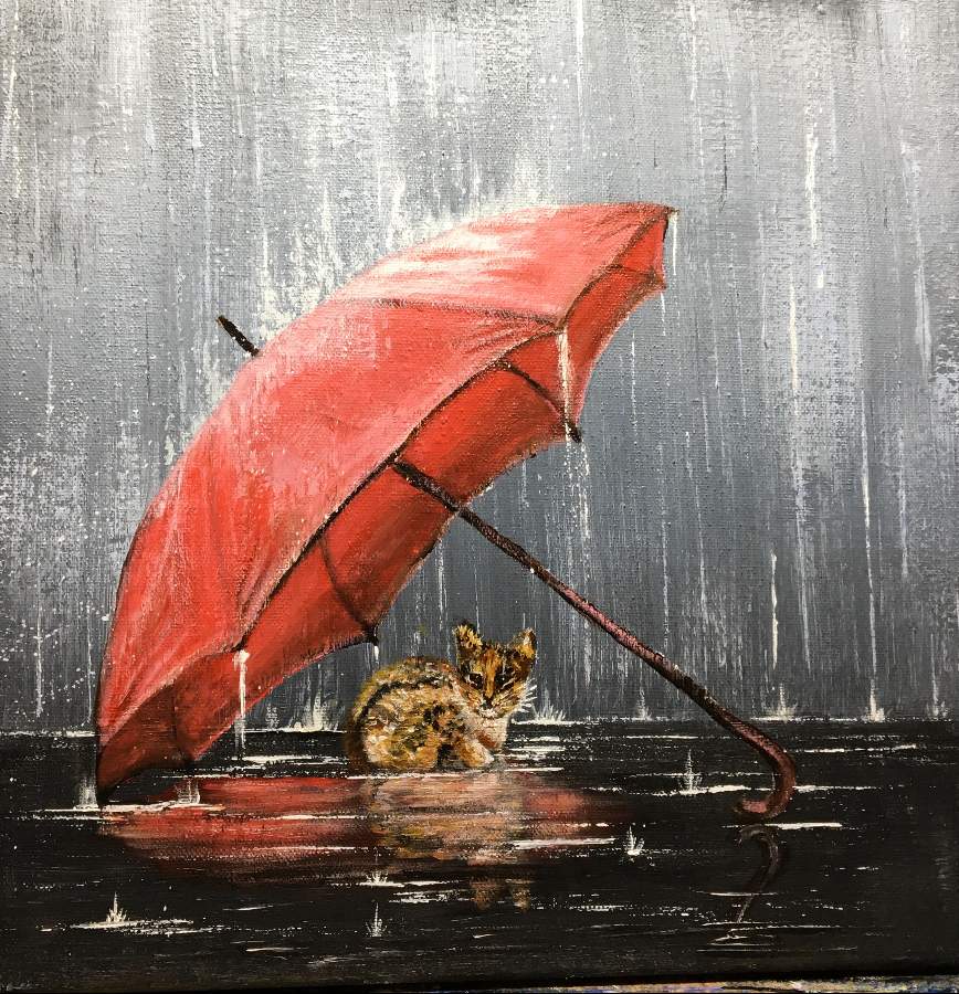 Cat in the rain