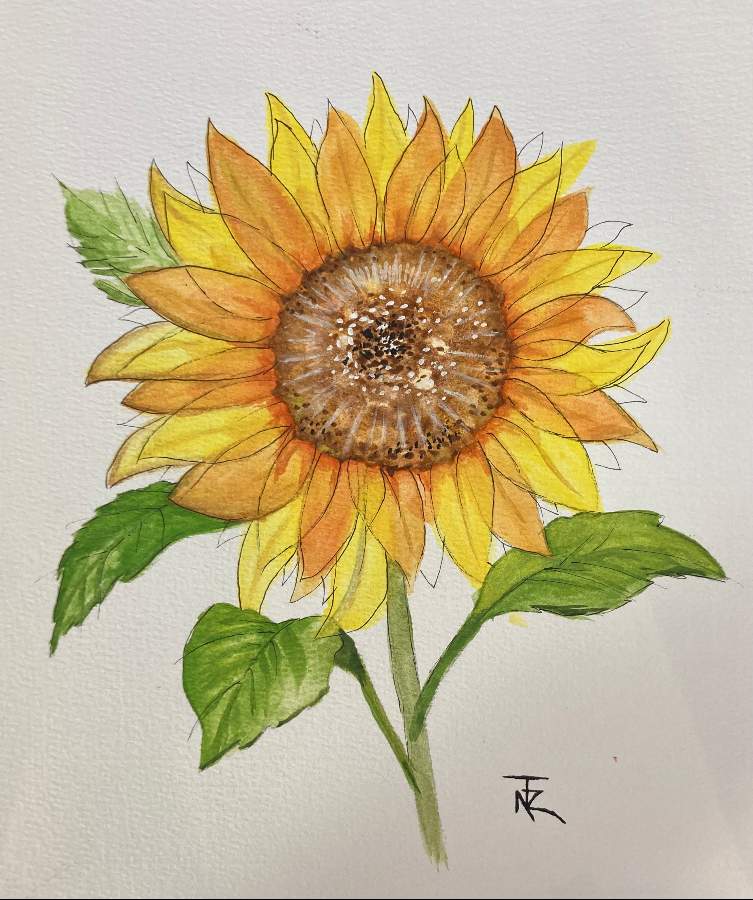 Sunflower • Jay Lee