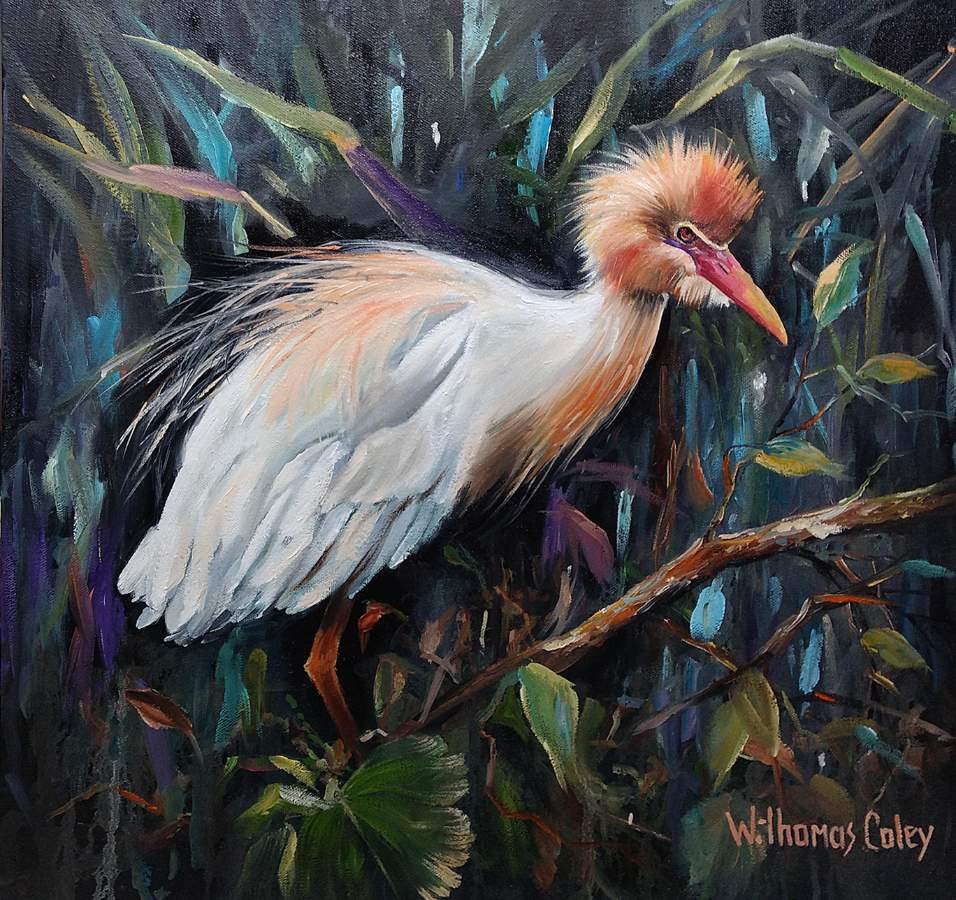 SARASOTA EGRET