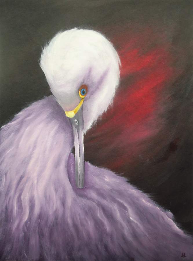 Egret Portrait - Gary Jenkins