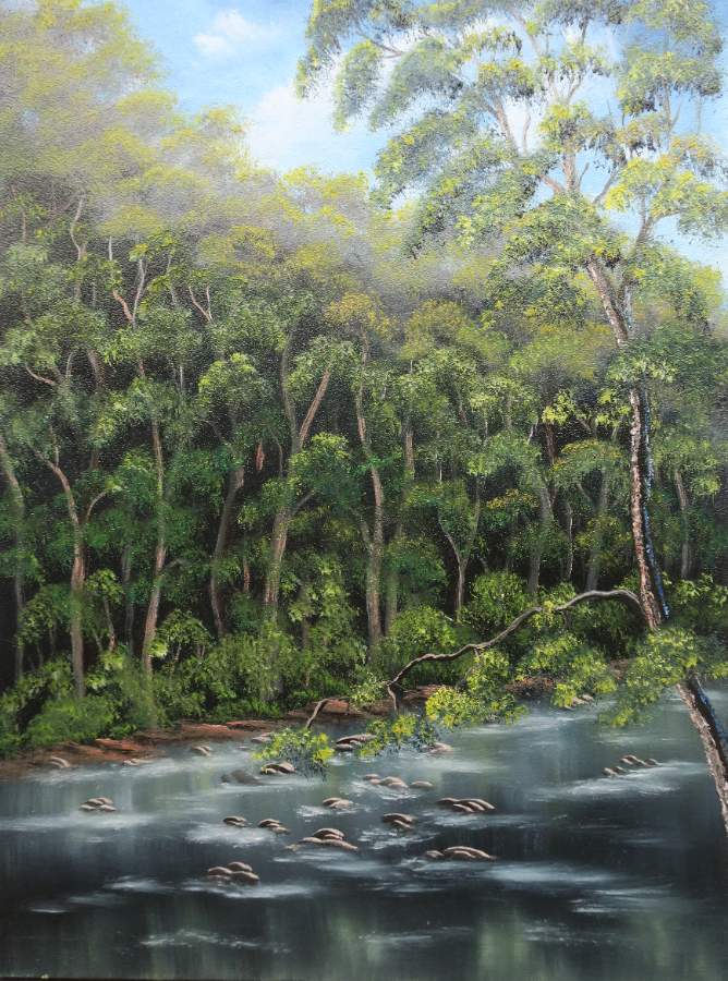 Nolichucky Summertime - Nicholas Hankins